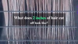 What Does 2 Inches Of Hair Cut Off Look Like?
